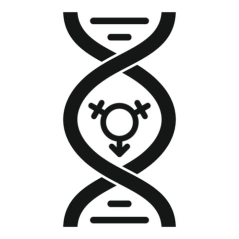 How Does Science Explain Transgenderism? - Online Psychology Degree Guide